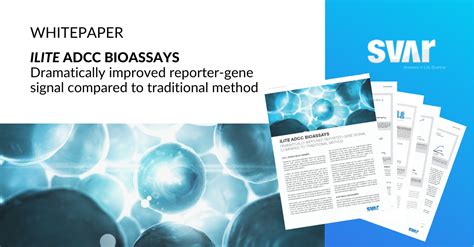 A Cell Based Adcc Bioassay Comparison