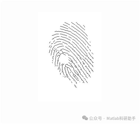 基于 Bp 神经网络特征提取的指纹识别应 附matlab代码基于神经网络的指纹定位的程序 Csdn博客