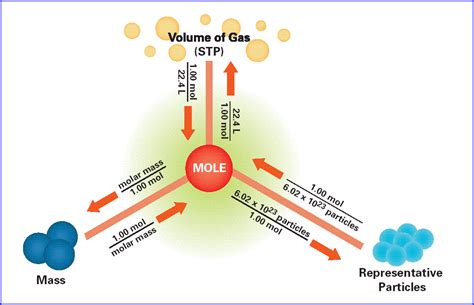 The Mole Mrs Greenwood S Science Page