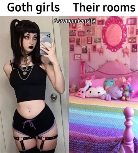 Pin By Gothicaandroses On Memes In 2025 Goth Memes Goth Girls Memes
