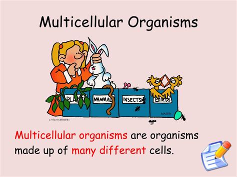 Ppt Multicellular Organisms Powerpoint Presentation Free Download Id5503371