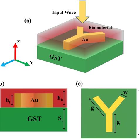 Sem Of The Fabricated D Shaped Pcf Download Scientific Diagram