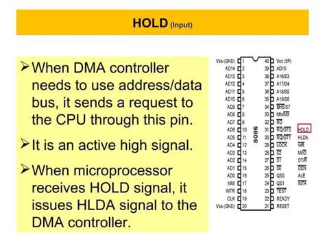 Physical Address Segmentation Pdf