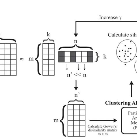 Diagram Of The Hybrid Generalized Low Rank Model And Clustering