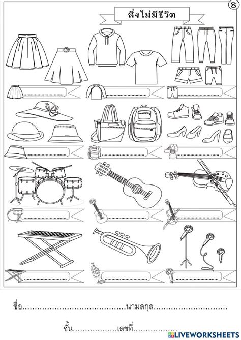 ใบงานวิทย์ป 2 เรื่อง สิ่งไม่มีชีวิต 2 Worksheet