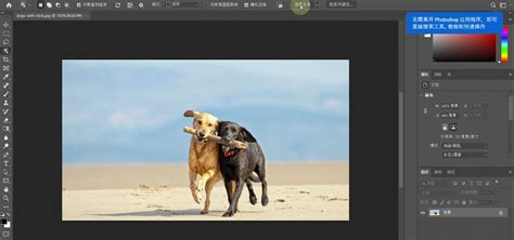 Sam（segment Anything Model）让cv走到尽头？学cv的研究生还能正常毕业吗？怎么使用sam？ 知乎