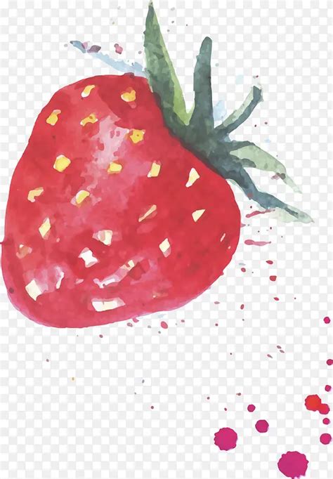 手绘水彩草莓png图片素材下载图片编号9344691 Png素材网