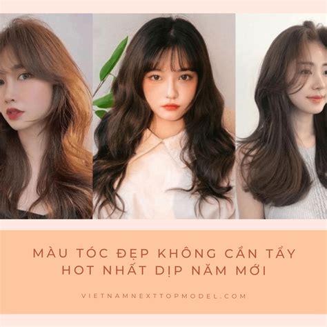 Cập Nhật Top 7 Màu Tóc đẹp Không Cần Tẩy Hot Nhất Dịp Năm Mới