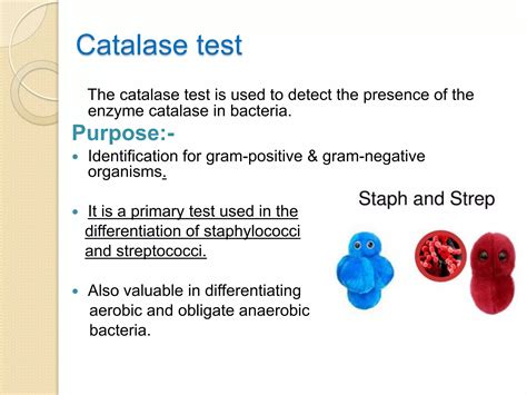 Catalase Pptx