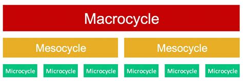 Daily Undulating Periodization Does It Work For Hypertrophy Fitness Volt
