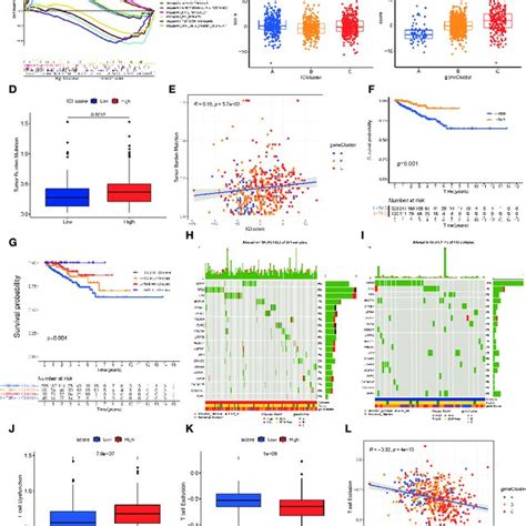 Characteristics Of The Immune Cell Infiltration Ici Score Pattern Download Scientific