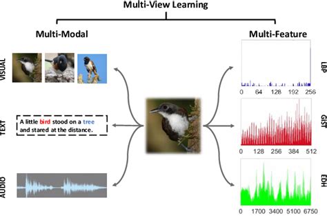 figure 1 from multiview deep subspace clustering networks semantic