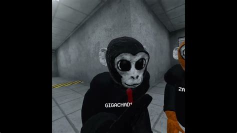 Lethal Paradox Youtube