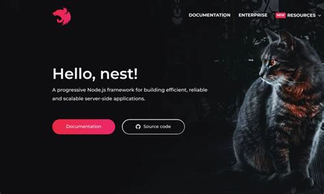Ayush K On Linkedin Nestjs Nodejs Backend Webdevelopment Typescript Techinnovation