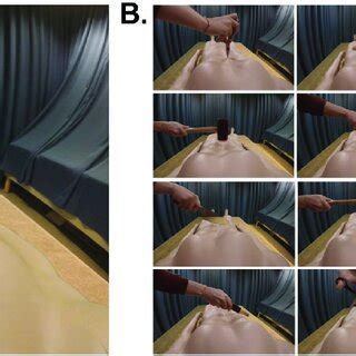 Visual Material For The Questionnaire And The SCR Experiments A The Download Scientific