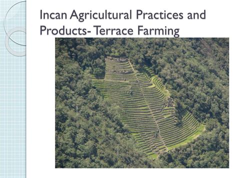 Ppt Inca Powerpoint Presentation Free Download Id1919723