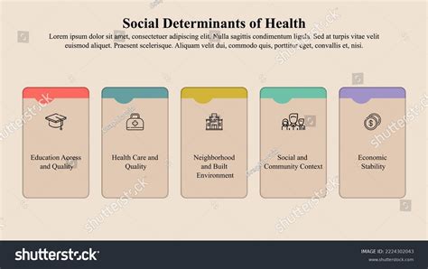 Social Determinants Health Infographic Template Icons Stock Vector Royalty Free 2224302043