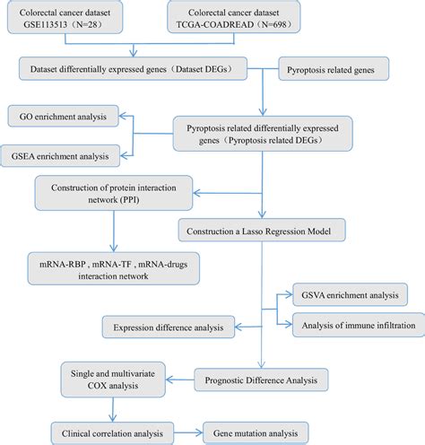Workflow Tcga The Cancer Genome Atlas Coadread Colon And Rectal