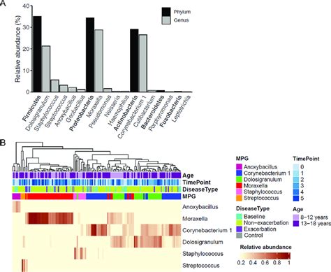 The Major Phyla And Genera Of The Nasopharyngeal Microbiome In All 144