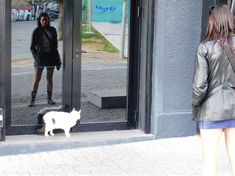 Cornelia Singer Cornelia Singer Added A New Photo