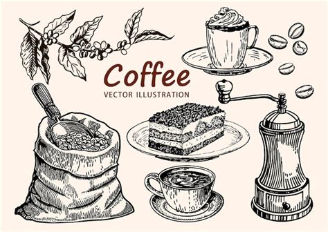 Premium Vector Hand Drawn Coffee Set Coffee Sketch Coffee