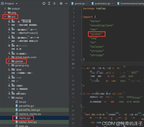 【go】goland无法读取第三方依赖包51cto博客goland导入第三方包