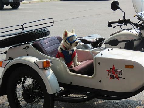 power bi ai driven analytics with copilot by hussam dabbas medium