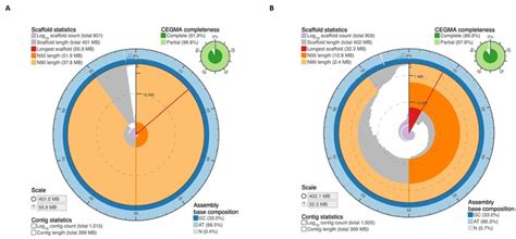 Snail Plots Describing The Assembly Statistics Of The A Medtrr108 Hic