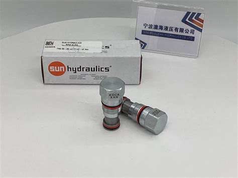 Original Sun Hydraulic Valve Xgca Xxn Serices Cartridge Valve Xgca