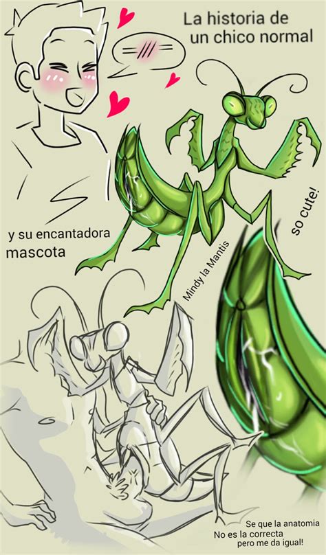 Post 1680511 Mantis Mindylamantis Prayingmantis Insect