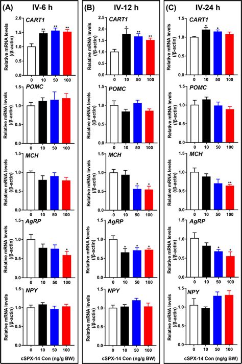 In Vivo Effects Of Cspx On The Expression Of Cart1 Pomc Mch Agrp Download Scientific