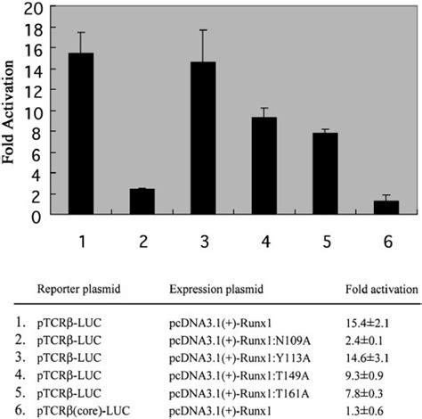 Luciferase Activity Of Alanine Substituted Runx1 Proteins In Transient Download Scientific