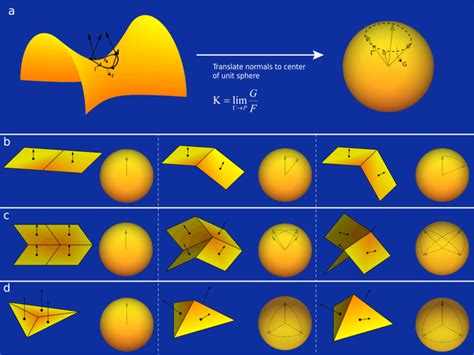 Gauss Spherical Representation Of The Gaussian Curvature A