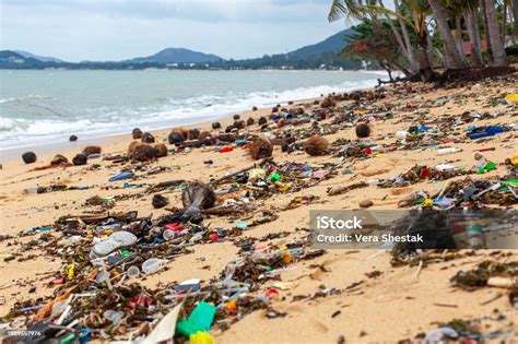 바닷가의 쓰레기 더러운 바닷물 환경 오염 생태 문제 폐기물 관리 쓰레기 재활용 분류되지 않은 쓰레기 비닐 봉지 유리 병 금속 캔 쓰레기 쓰레기 더미 쓰레기 0명에 대한 스톡