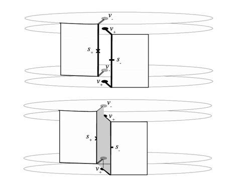 5 The Top Portion Shows Interlocking Singular Arcs From G − And G −
