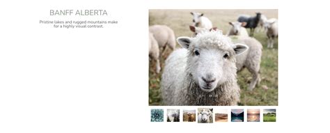 Using The Image And Gallery Blocks Slideshow Block Zenfolio Nextzen