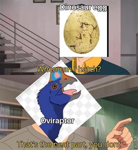 An Oviraptor Meme I Created Rmemes