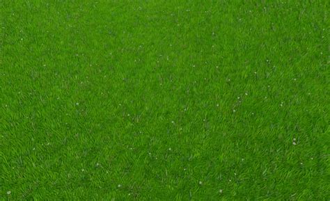 blender grass blender market
