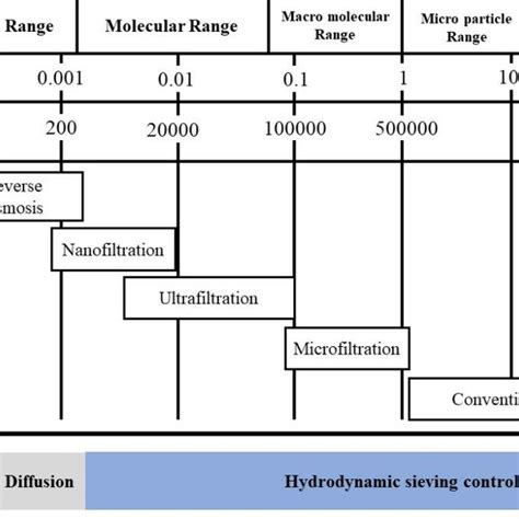Membrane Molecular Weight Cut Off Mwcopore Size Ranges Used In The