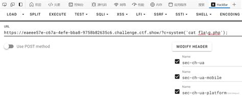 Ctfshow Web入门 命令执行（web29）五种解法绕过文件名检测ctfshow Web29 Csdn博客
