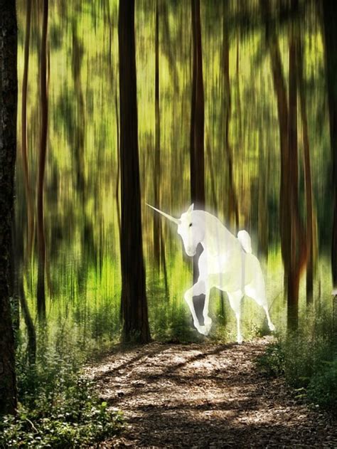 Startup Valuations Unicorn Vs Soonicorn Vs Decacorn Minicorn Hectocorn Vs Cockroaches