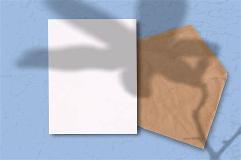 파란색 배경에 흰색 종이가 있는 봉투입니다 식물 그림자의 오버레이와 모형 자연광이 들판 식물과 꽃의 그림자를 위에서 투사합니다 0명에 대한 스톡 벡터 아트 및 기타 이미지