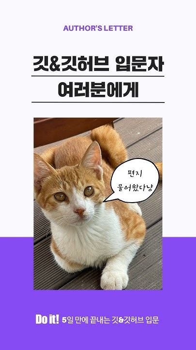 깃and깃허브 입문자 여러분에게💌《do It 5일 만에 끝내는 깃and깃허브 입문》저자 편지 Git Github 개발자 코딩 협업 It책추천 개발자책추천 Youtube
