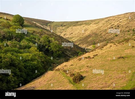 Sun Shines On The Steep Slopes Of Lake Down In Englands Dartmoor