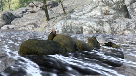 Rule 34 3d Alligator Anthro Balls Belly Cajun Cgi Crocodile