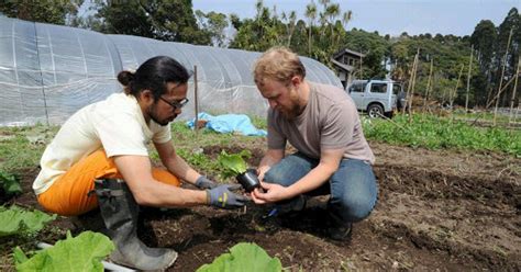 일본 유기농 농장에서 일하는 젊은이들