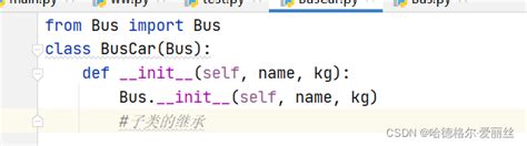 Python面向对象（1）：封装继承多态哈德格尔·爱丽丝 Csdn博客