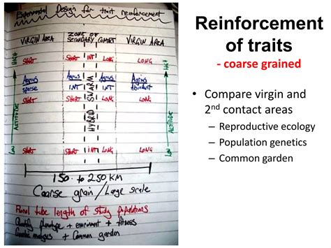 Pollinator Mediated Floral Evolution And Speciation In Southern African Iridaceae Ppt