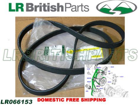 Genuine Land Rover Drive Belt 2 0l Range Rover Evoque Discovery Sport Lr066153 Ebay