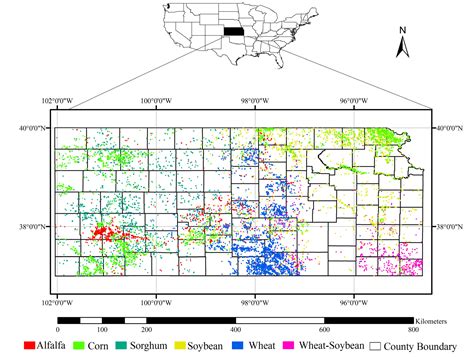 Everything About Wood Feature Selection Of Time Series Modis Data For